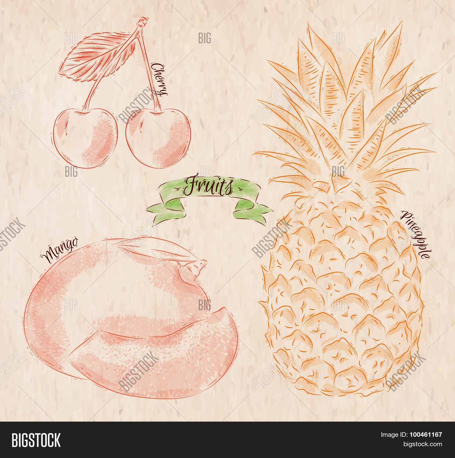 Fruit Cherry, Mango, Vector & Photo (Free Trial) | Bigstock