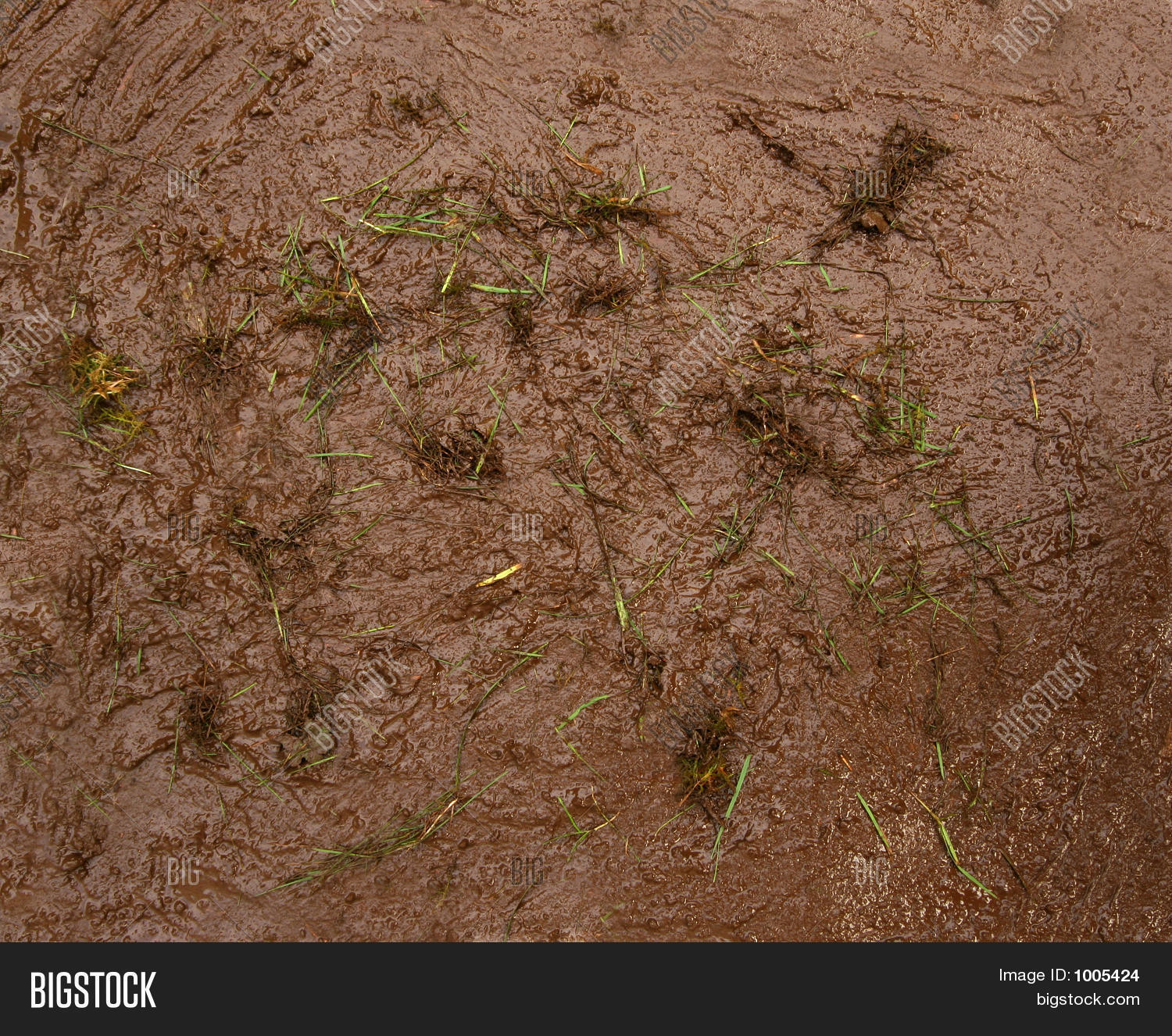Mud Background