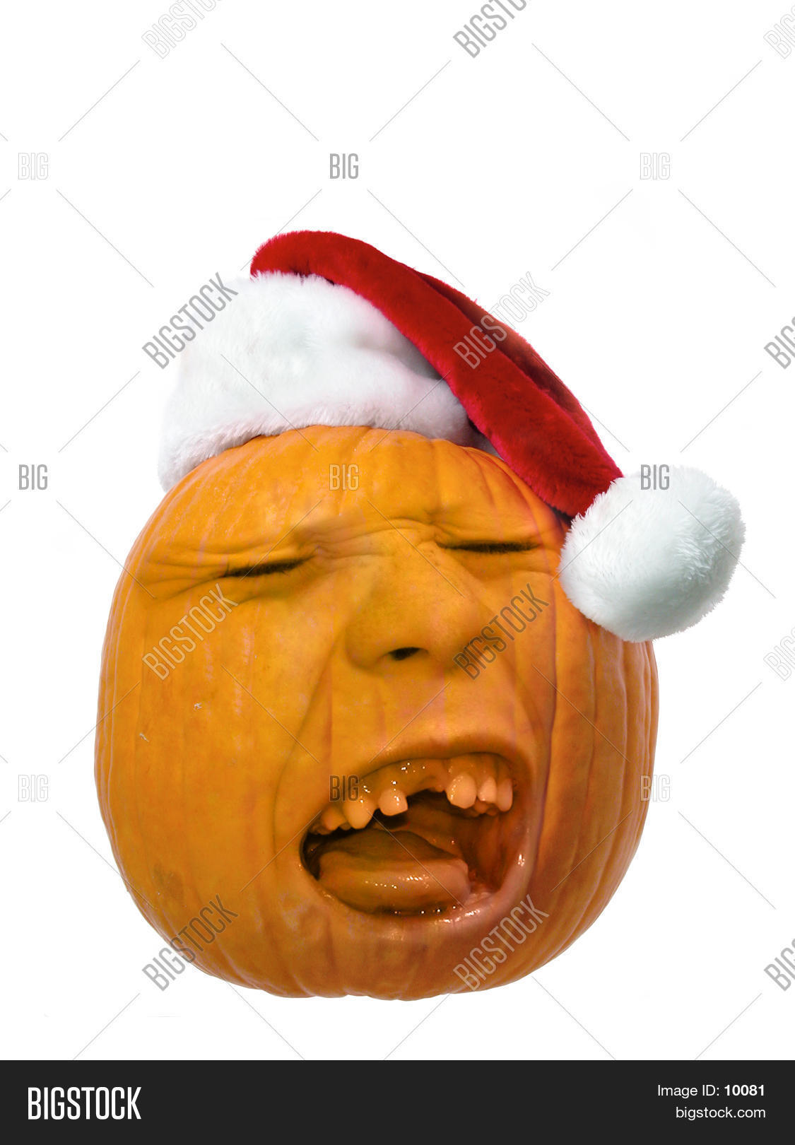 Pumpkin Santa Image & Photo (Free Trial) | Bigstock