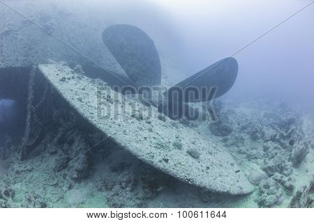 Stern Section Large Image & Photo (Free Trial) | Bigstock