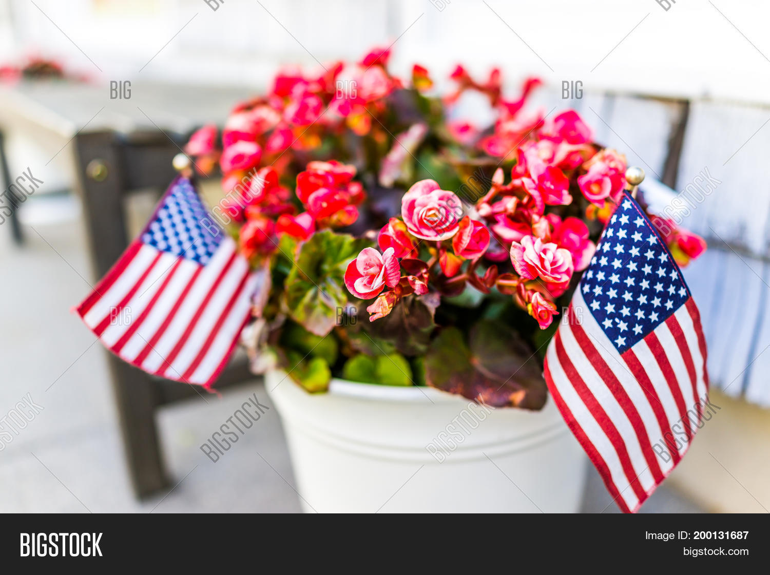 Patriotic Flower Pot Image & Photo (Free Trial) | Bigstock