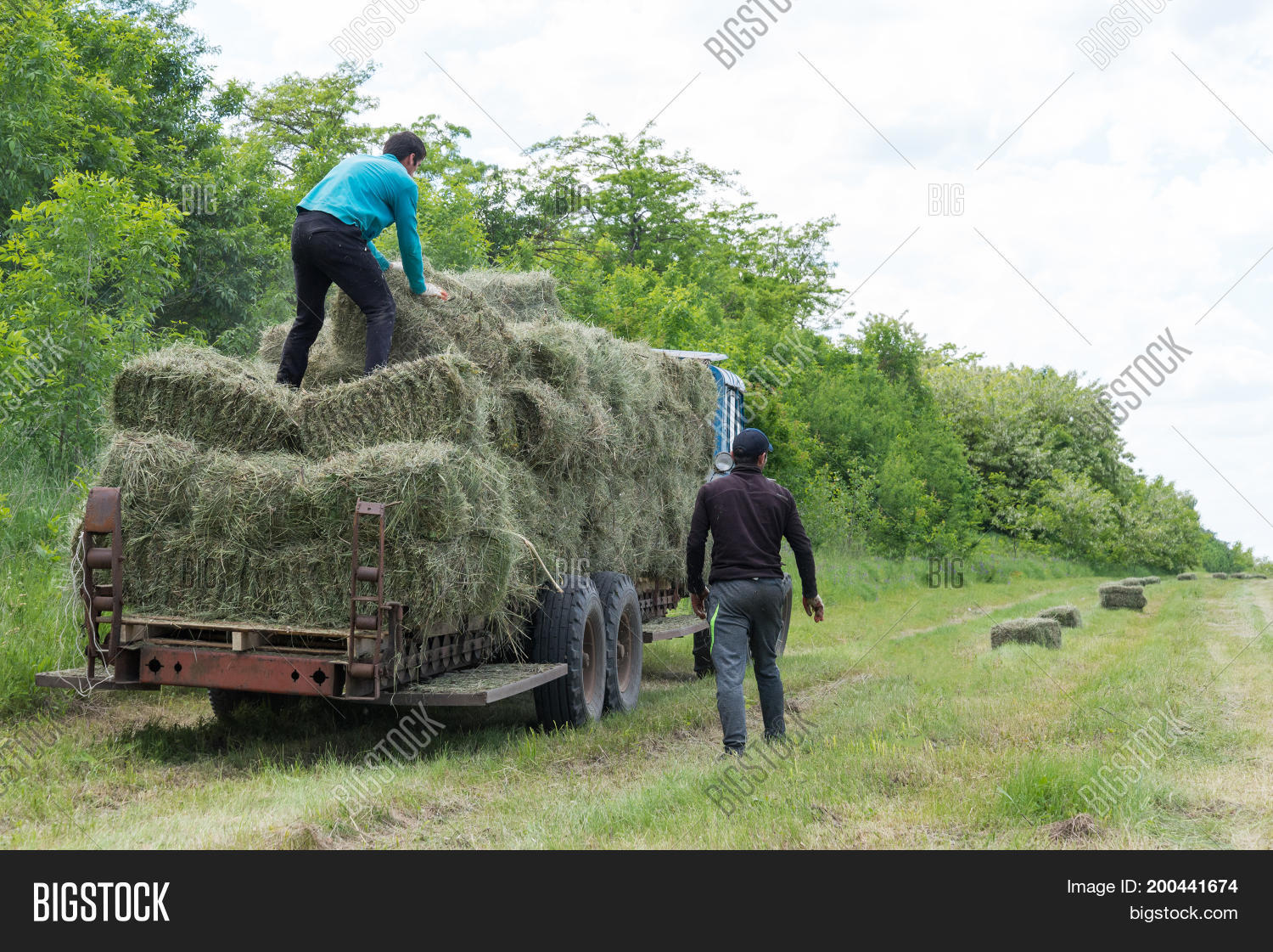 Tractor Hay. Tractor Image & Photo (Free Trial) | Bigstock