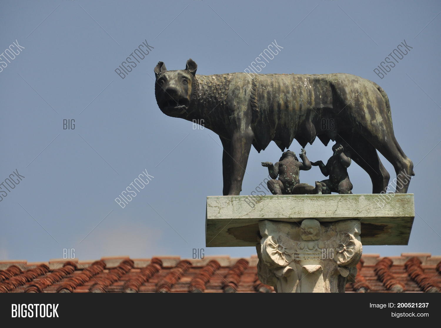 Statue Romulus Remus Image & Photo (Free Trial) | Bigstock