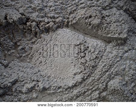 Texture Ready Mixed Image & Photo (Free Trial) | Bigstock
