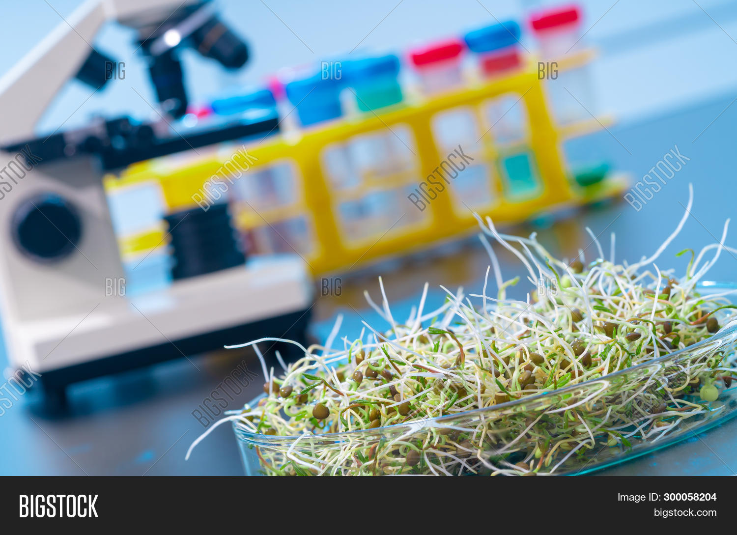 Raw Green Organic Image & Photo (Free Trial) | Bigstock