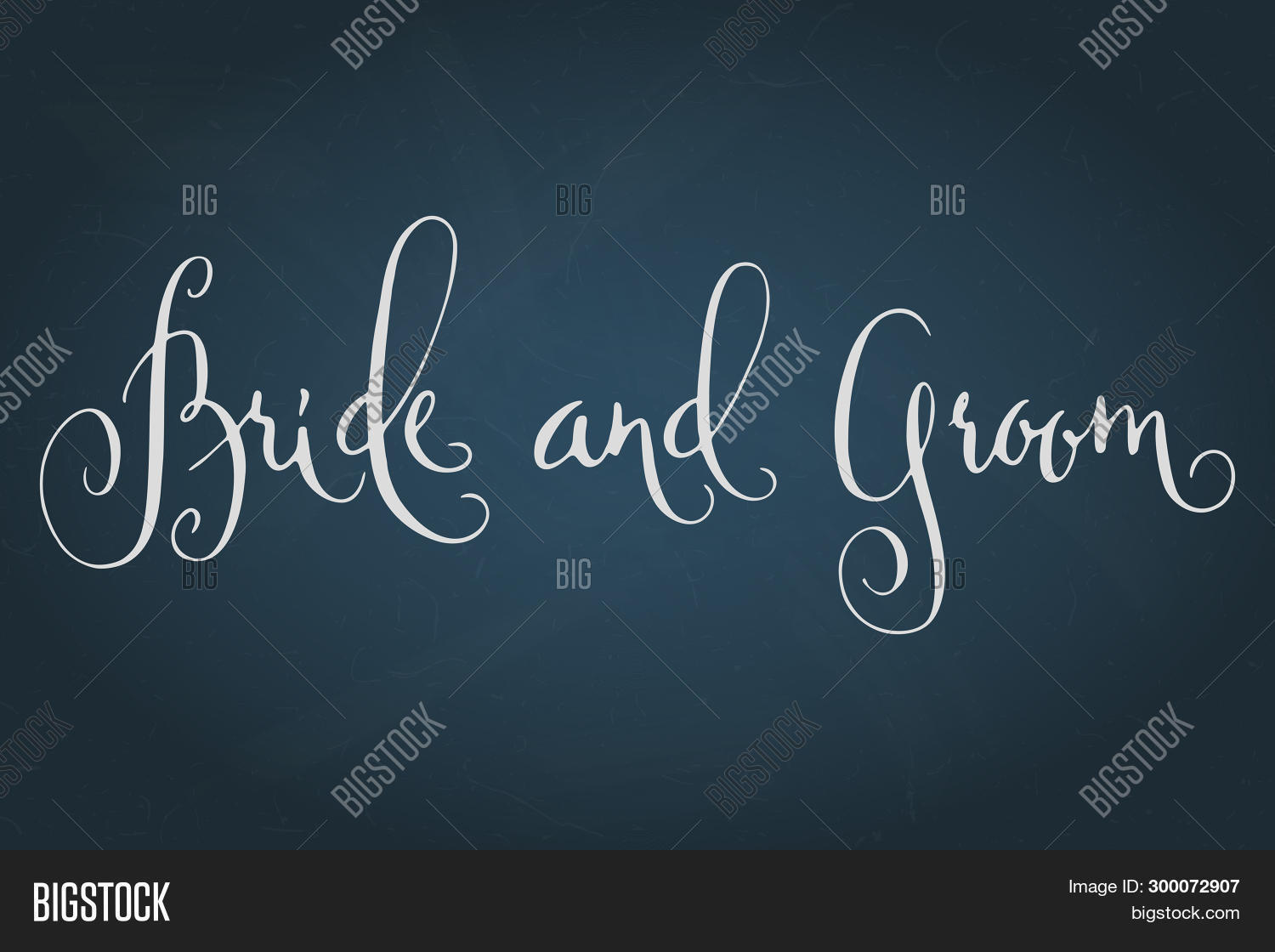 Bride Groom. Wedding Vector & Photo (Free Trial) | Bigstock