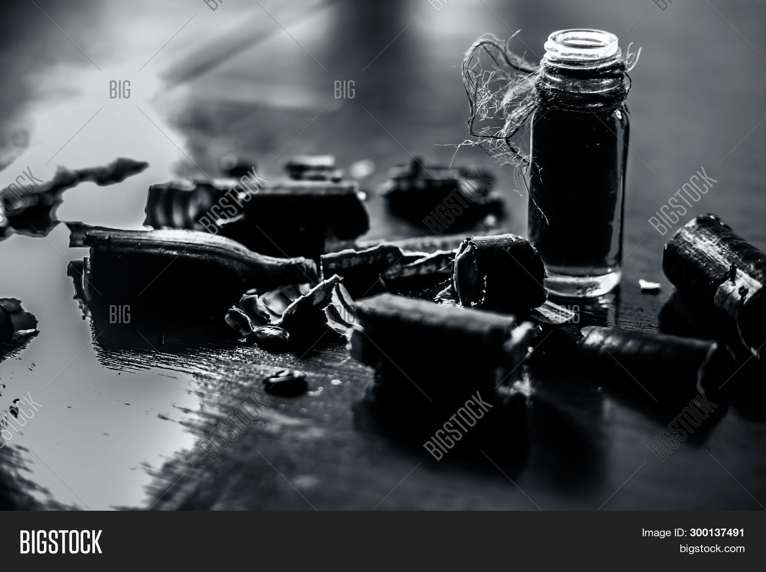 Golden Shower Tree Image & Photo (Free Trial) | Bigstock