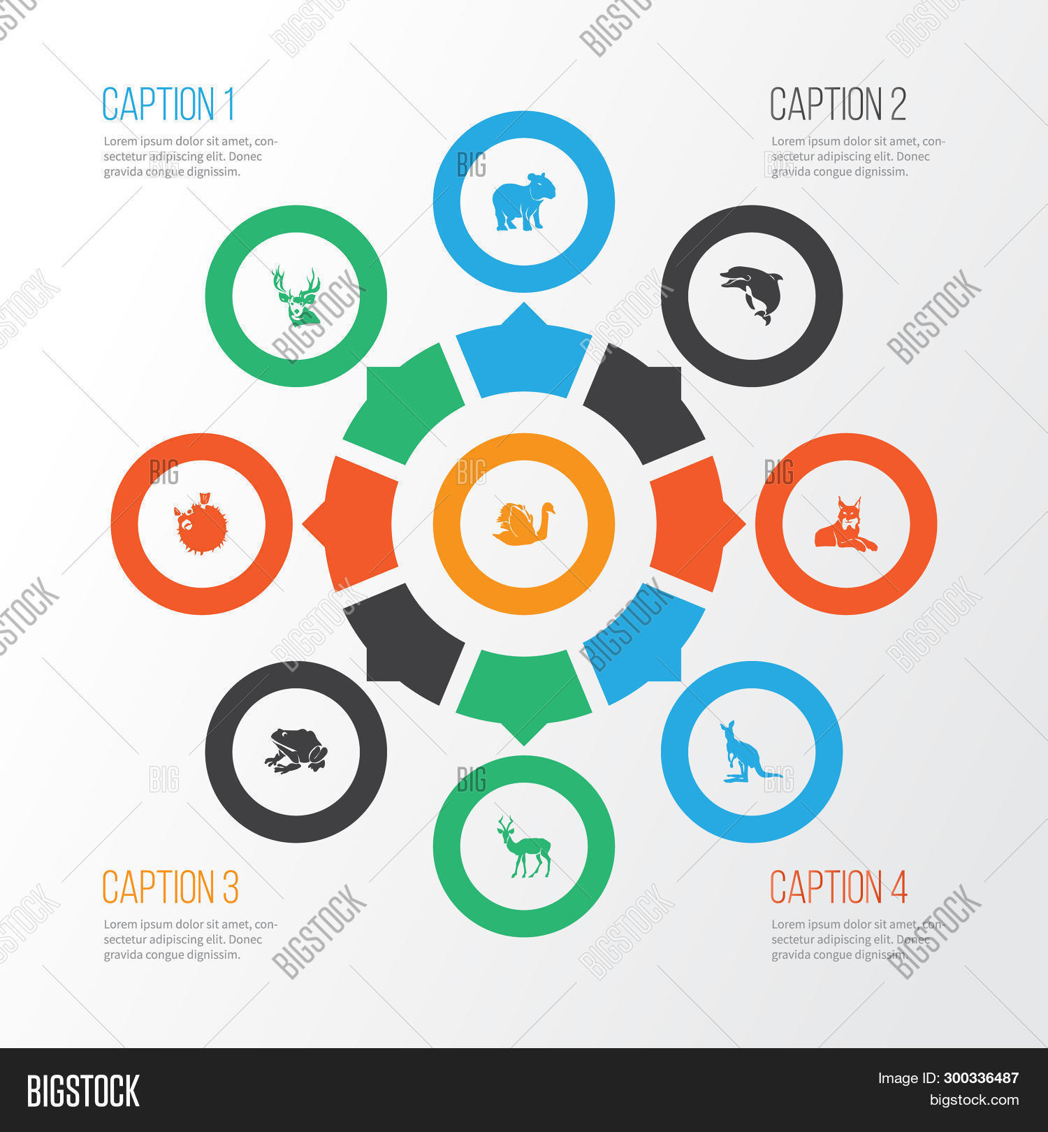 Animal Icons Set Frog Image & Photo (Free Trial) | Bigstock