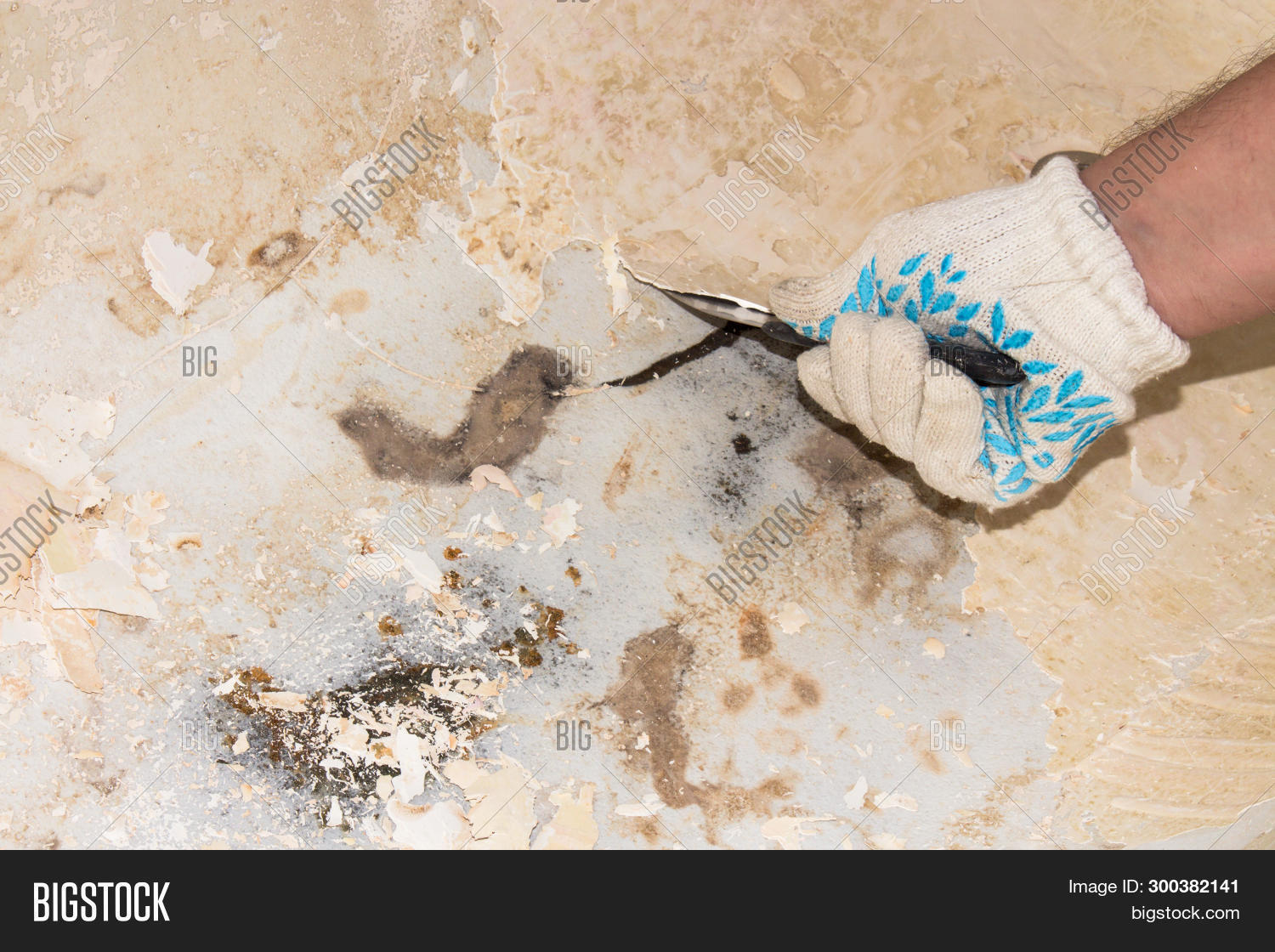 Restoration Old Bath. Image & Photo (Free Trial) | Bigstock