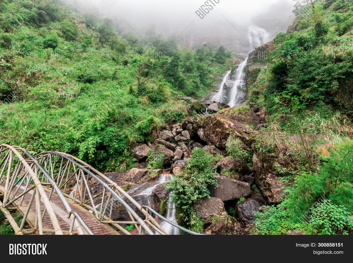 View Large Beautiful Image & Photo (Free Trial) | Bigstock