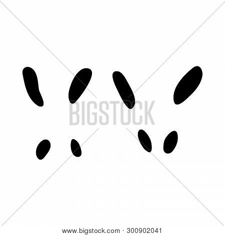 Squirrel Footprint. Vector & Photo (Free Trial) | Bigstock