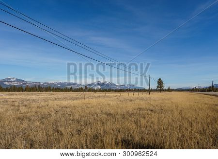 North American Steppe Image & Photo (Free Trial) | Bigstock