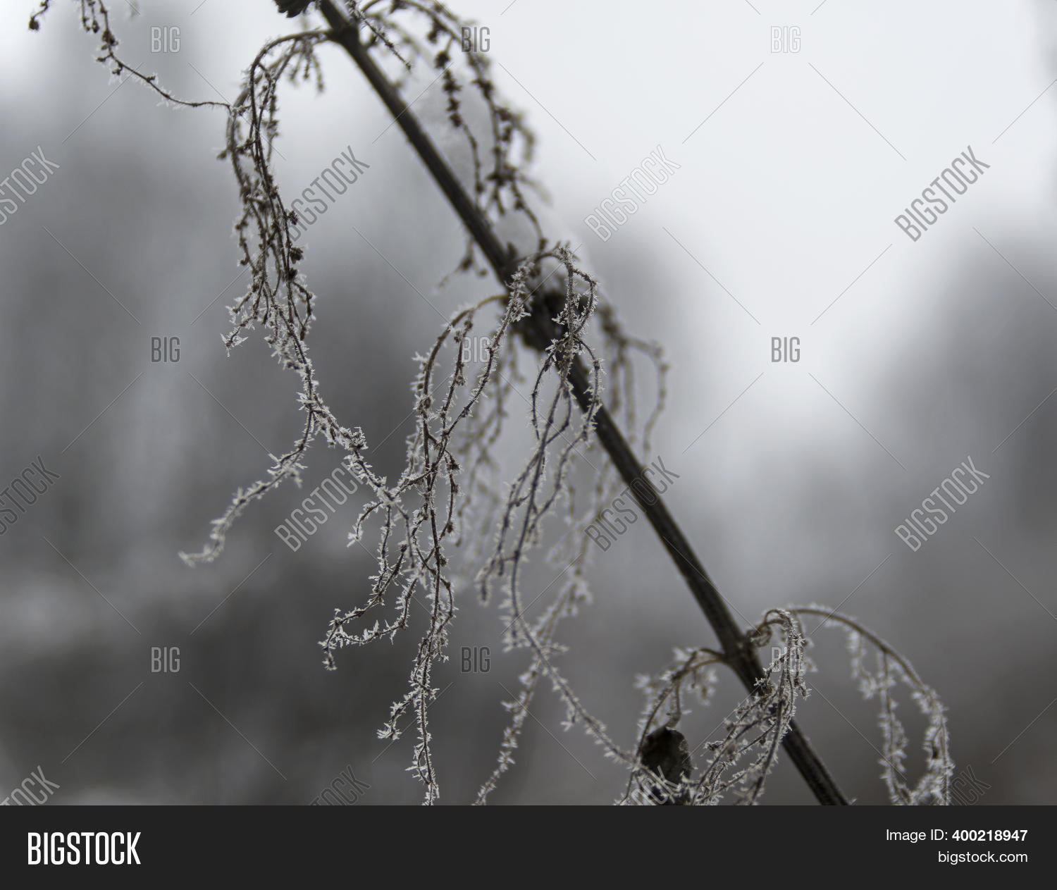 Small Ice Crystals On Image & Photo (Free Trial) | Bigstock