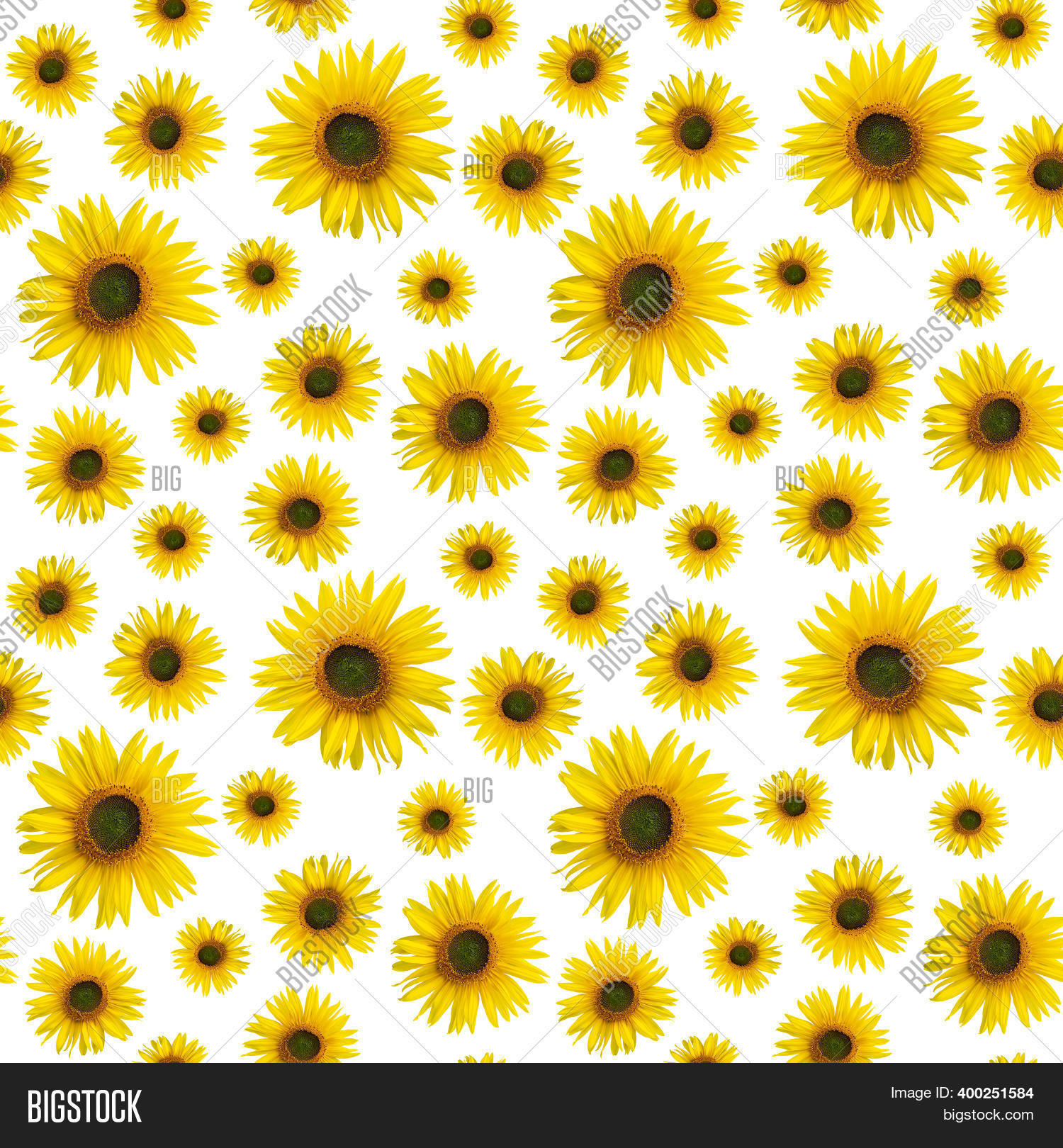 Seamless Real Flower Background
