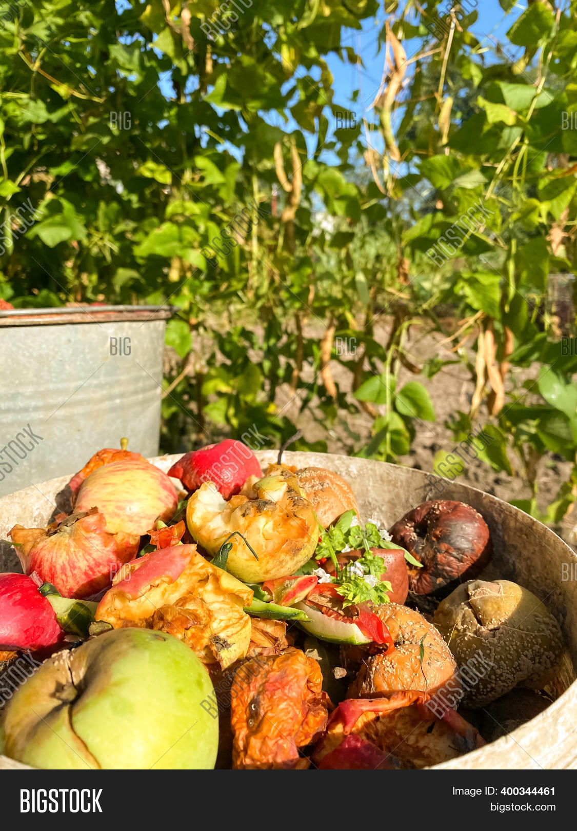 Organic Biodegradable Image & Photo (Free Trial) | Bigstock