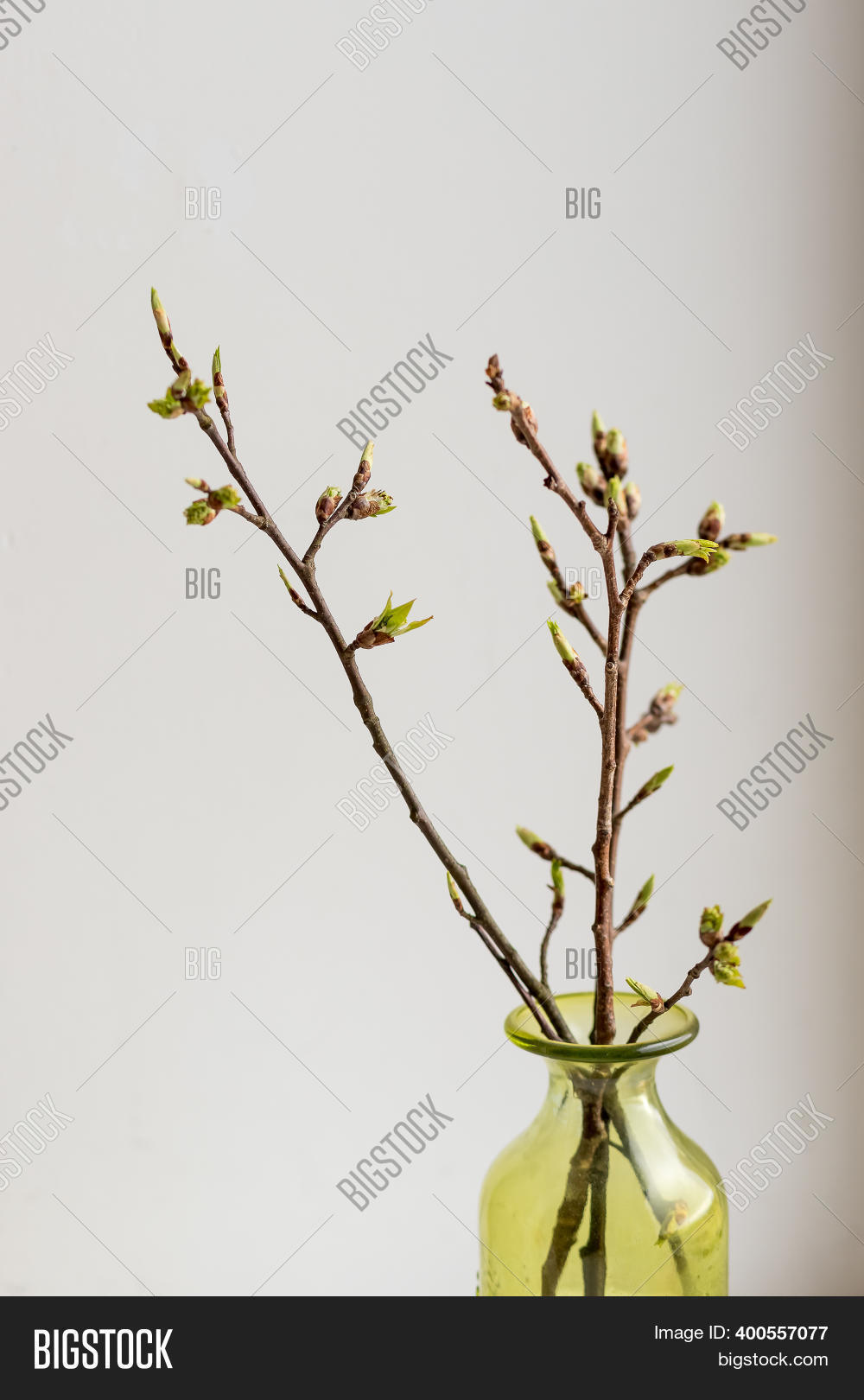 Hello Spring Happy Image & Photo (Free Trial) | Bigstock