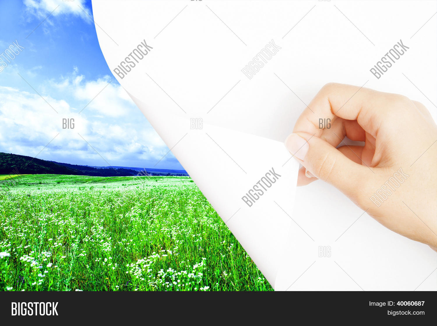 One Human Hand Open Image & Photo (Free Trial) | Bigstock