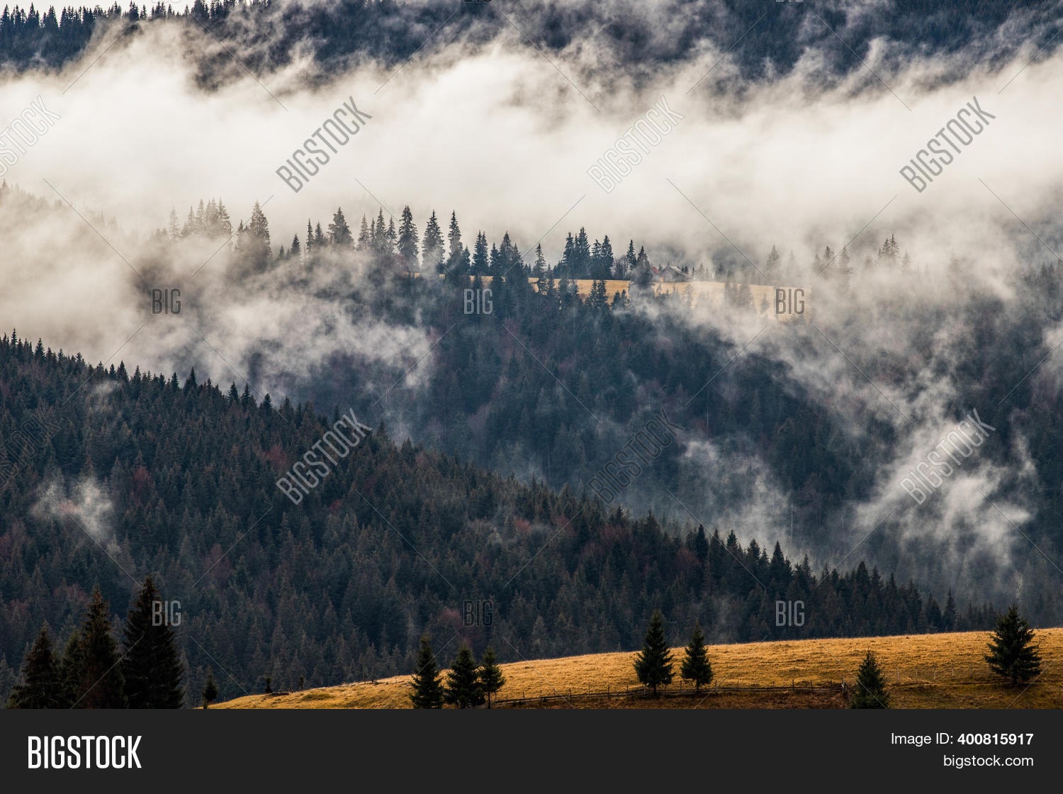 Dramatic Nature Image & Photo (Free Trial) | Bigstock