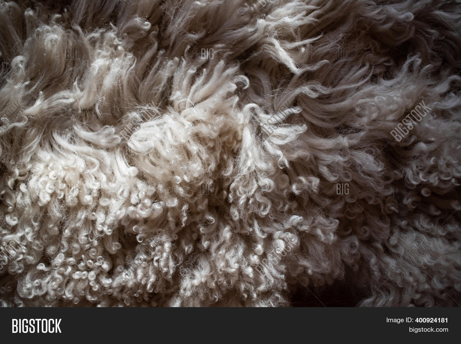 Sheepskin Rug Texture Image & Photo (Free Trial) | Bigstock