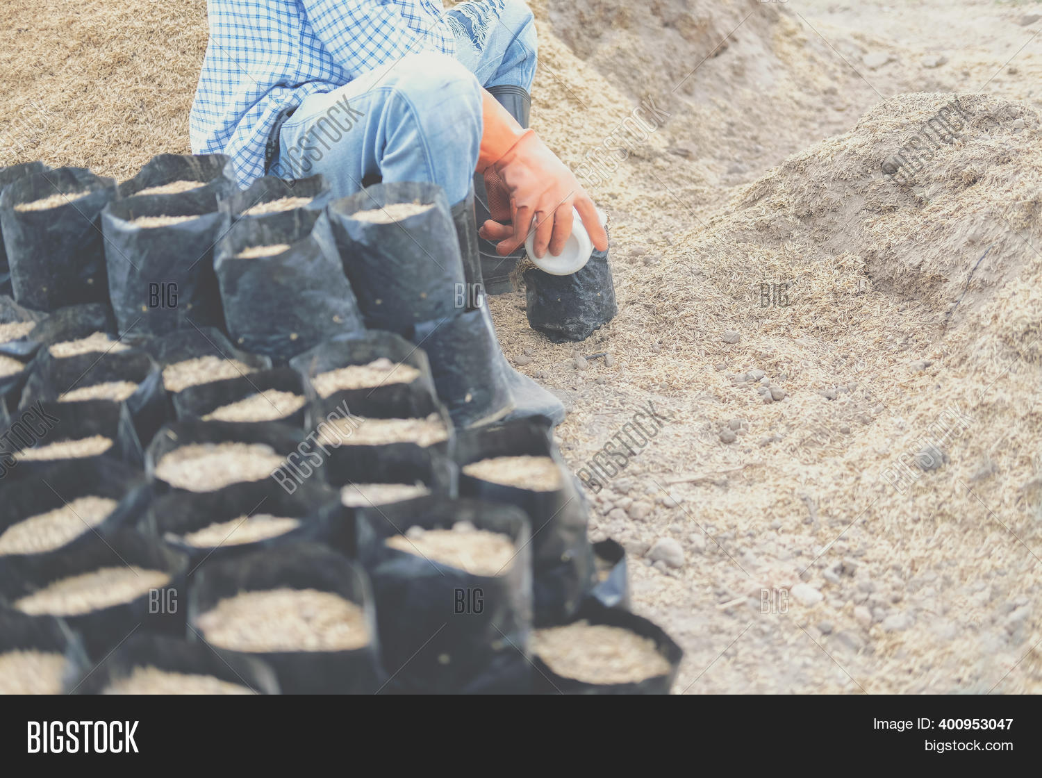 Farmer Pouring Image & Photo (Free Trial) | Bigstock