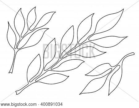 One Line Drawing Leaf Vector & Photo (Free Trial) | Bigstock