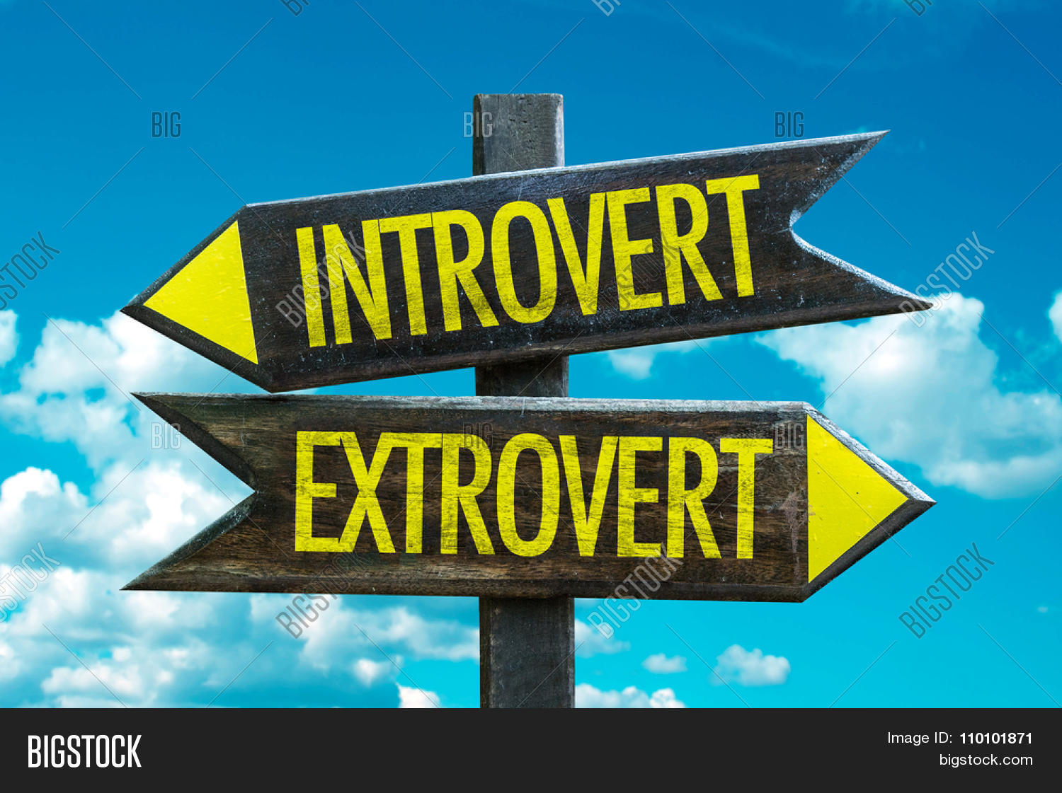 Introvert - Extrovert Image & Photo (Free Trial) | Bigstock