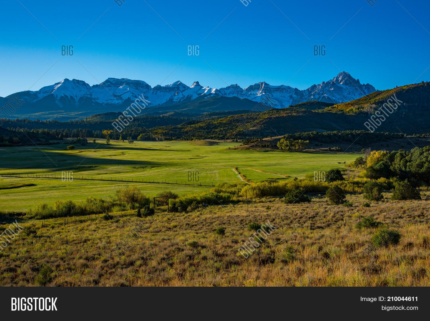 Dallas Divide On Early Image & Photo (Free Trial) | Bigstock