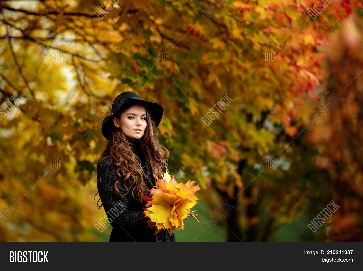 Girl In Falling Leaves Photography