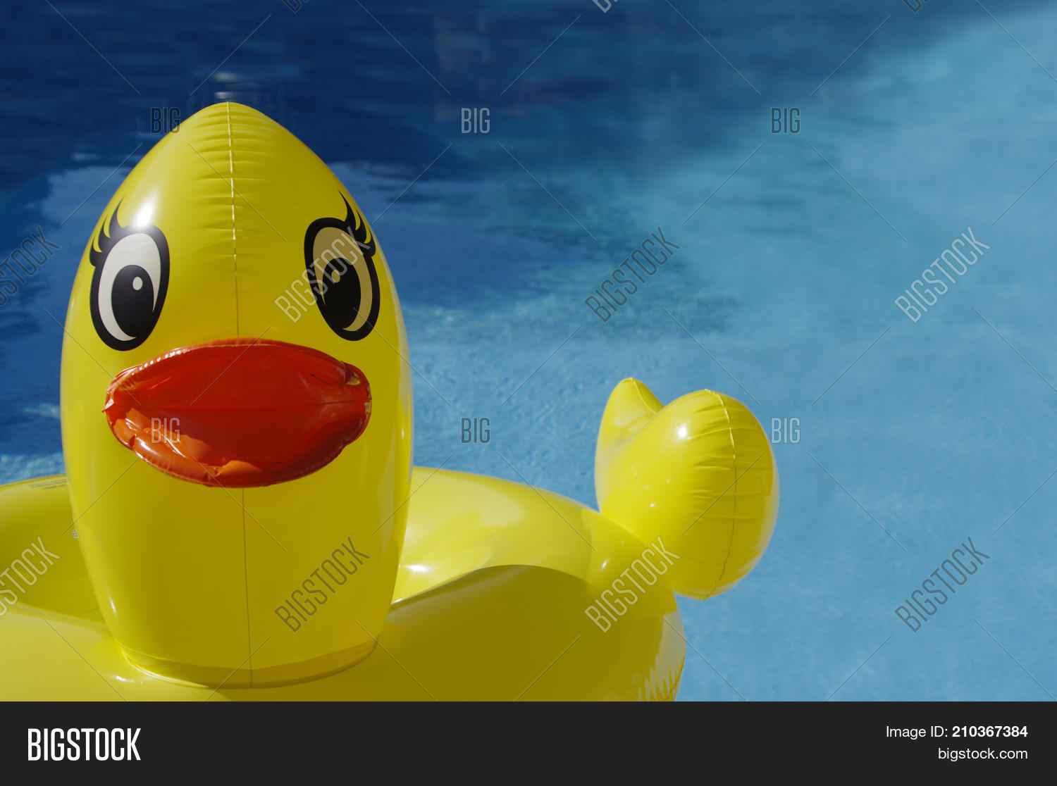 Large Yellow Ducky Image & Photo (Free Trial) | Bigstock