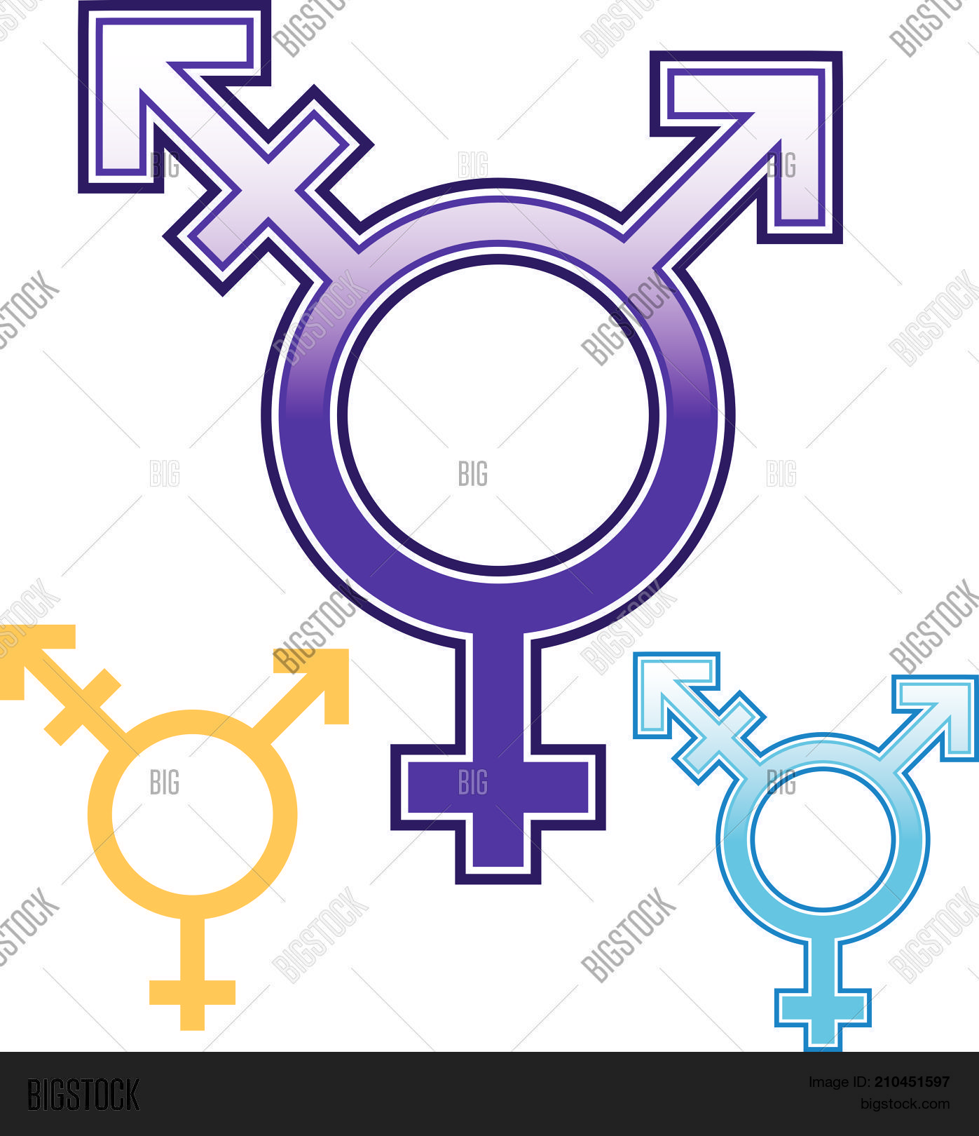 Male Female Trans Vector & Photo (Free Trial) | Bigstock