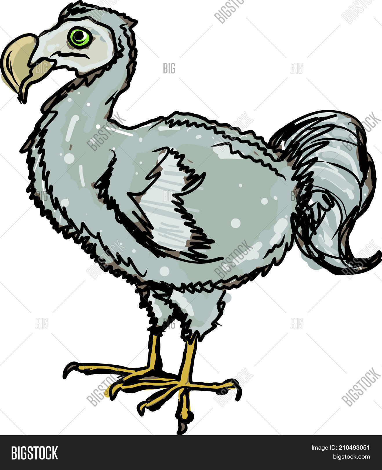 Dodo Bird Vector Vector & Photo (Free Trial) | Bigstock