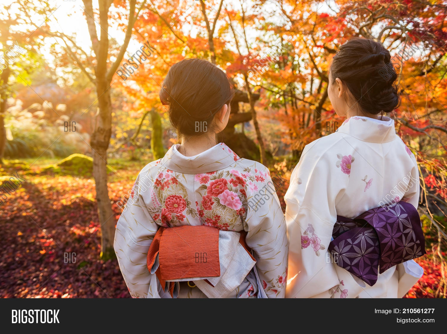 Rear Photo Kimono Image & Photo (Free Trial) | Bigstock