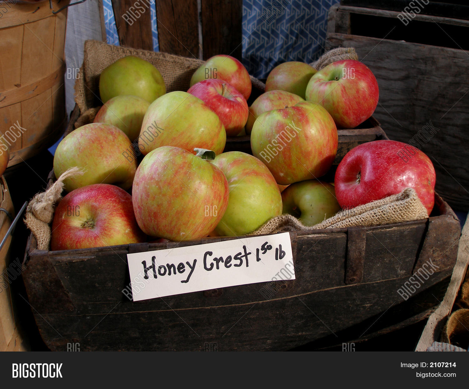 Honey Crest Apples Image & Photo (Free Trial) | Bigstock