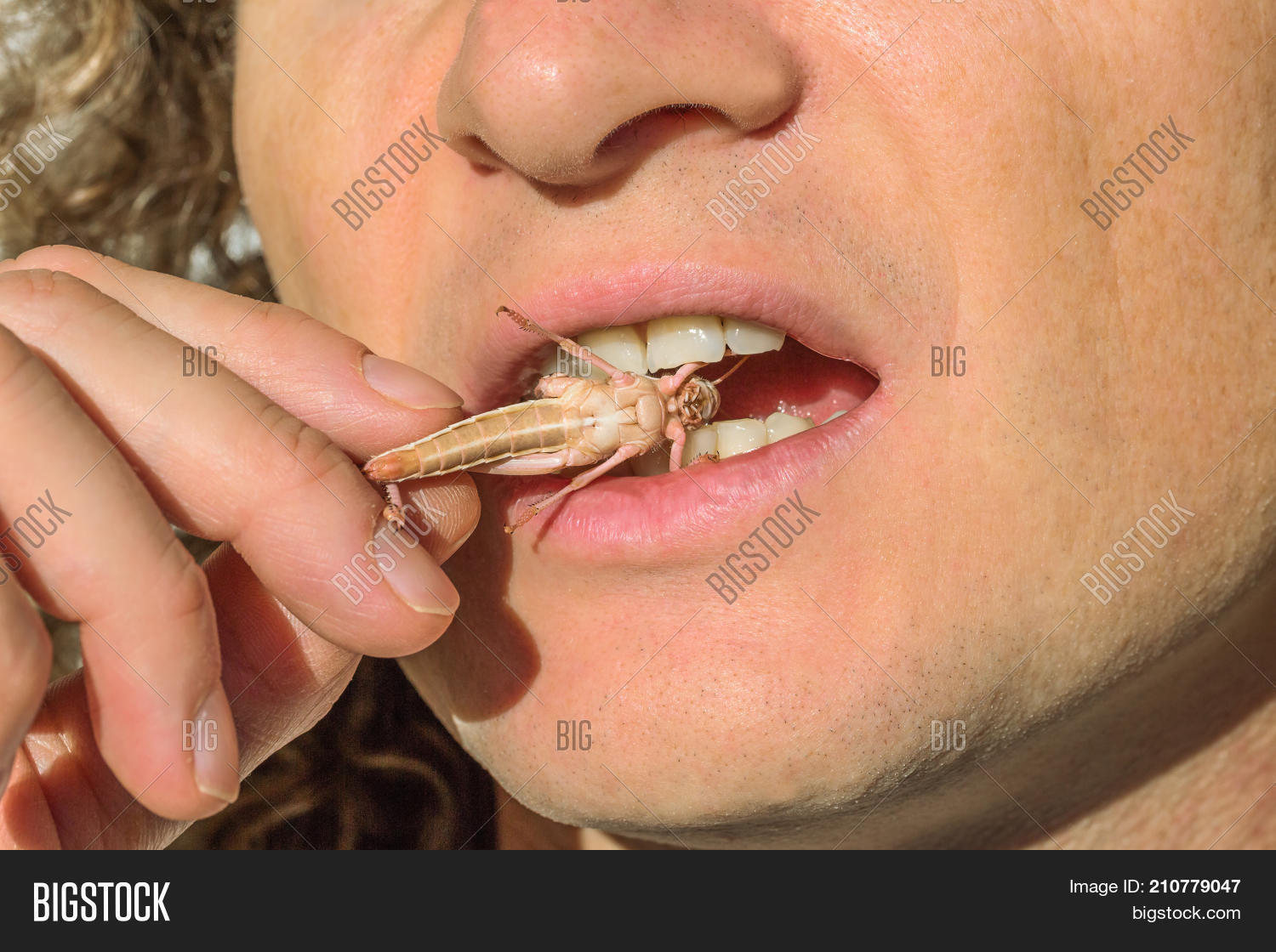 People Eating Bugs Image & Photo (Free Trial) | Bigstock