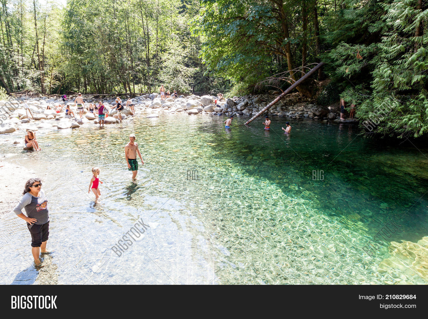 30 Foot Pool Lynn Image & Photo (Free Trial) | Bigstock