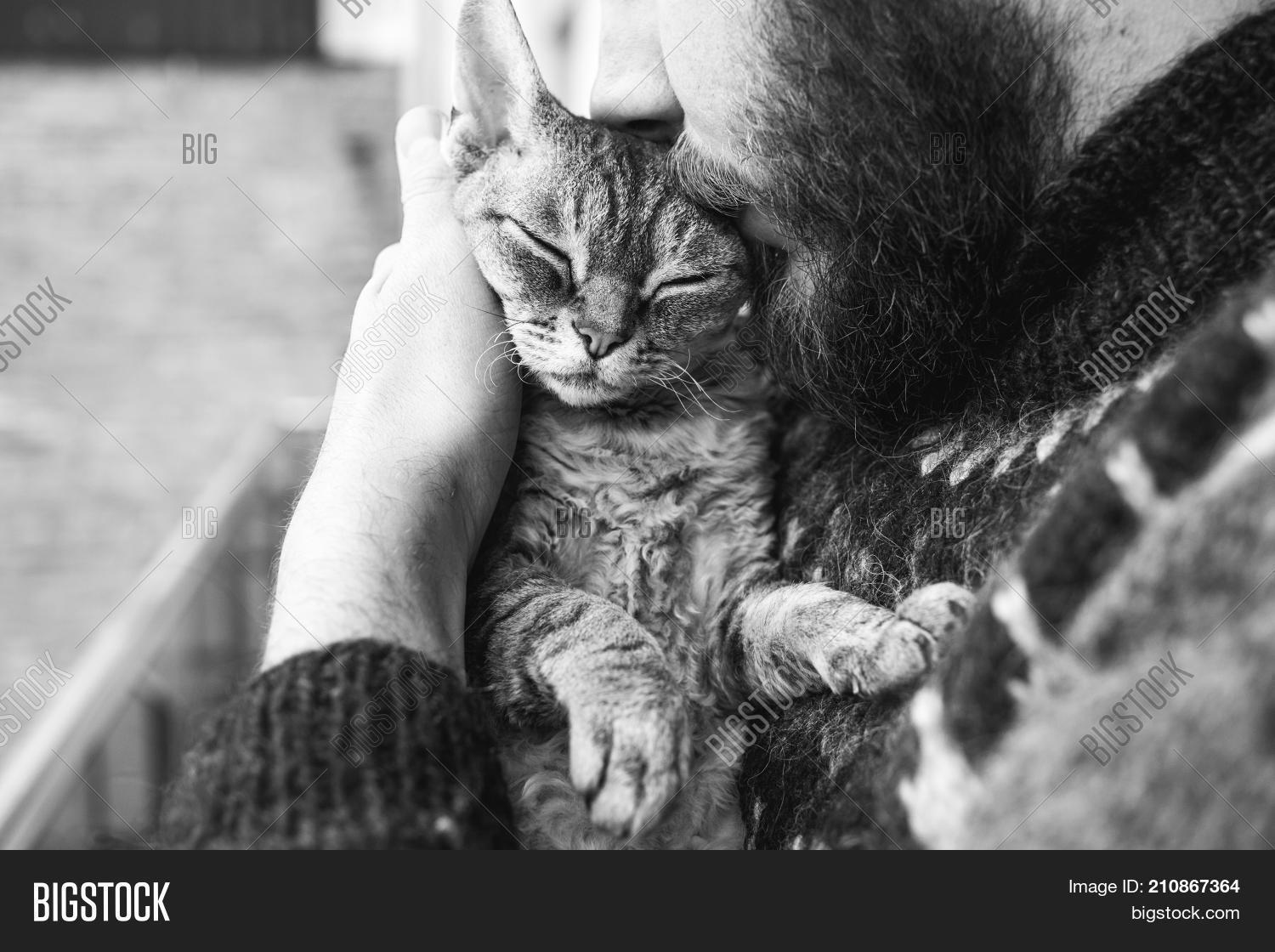 Cat Man, Portrait Image & Photo (Free Trial) | Bigstock
