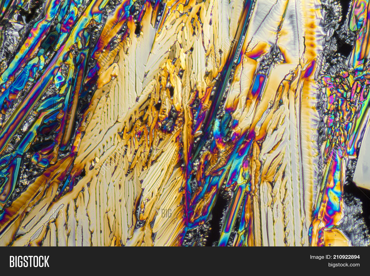 Colorful Microscopic Image & Photo (Free Trial) | Bigstock