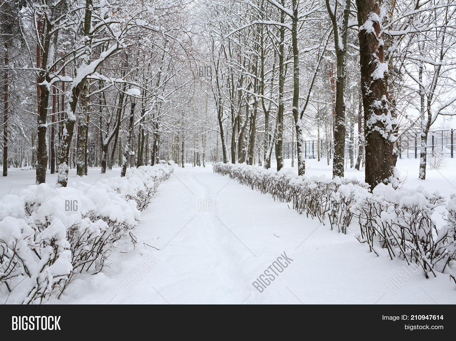 Winter Landscape Snow Image & Photo (Free Trial) | Bigstock