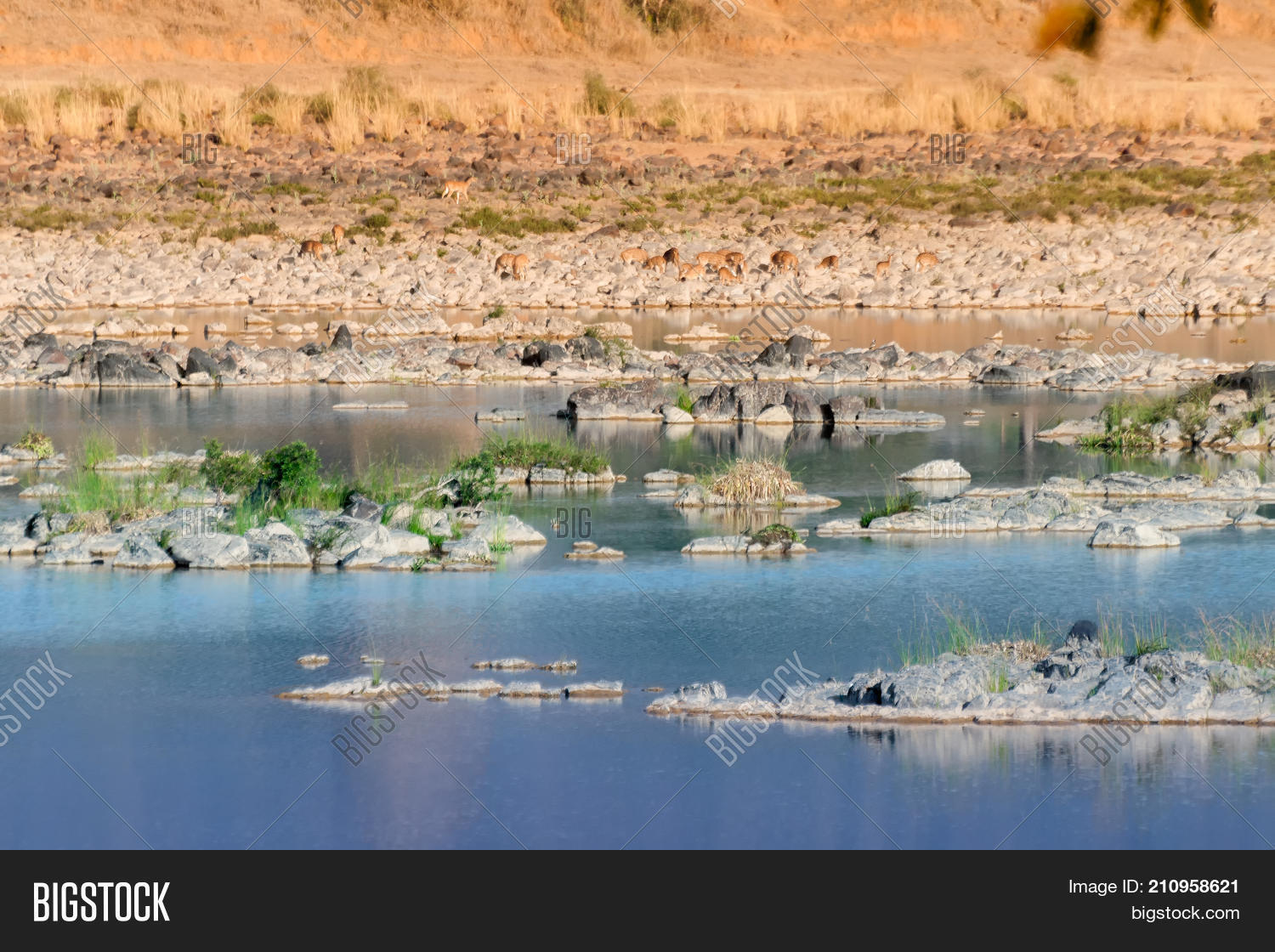 Beautiful Panna River Image & Photo (Free Trial) | Bigstock
