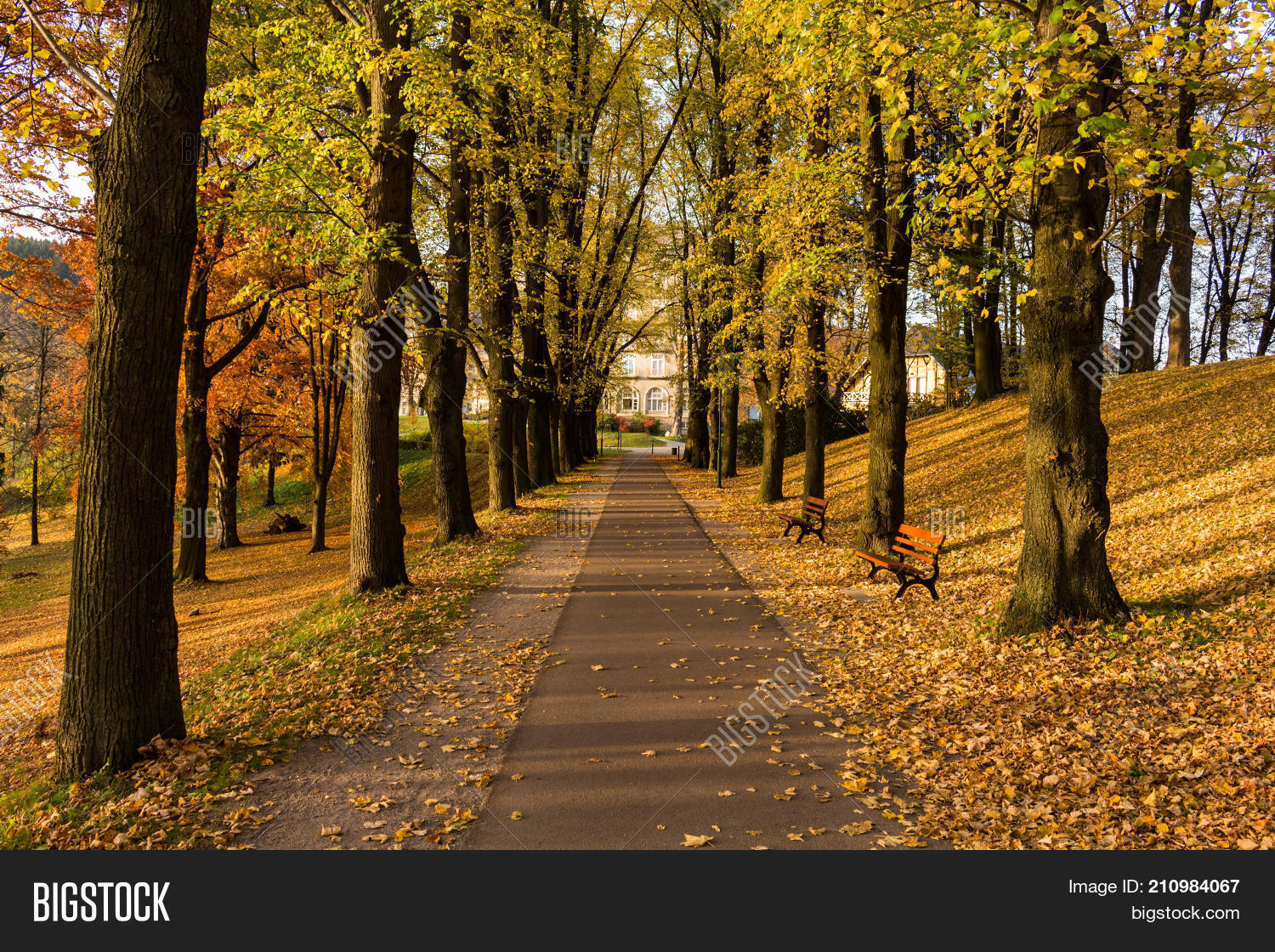Narrow Path Lit By Image & Photo (Free Trial) | Bigstock