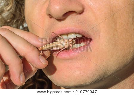 People Eating Bugs Image & Photo (Free Trial) | Bigstock