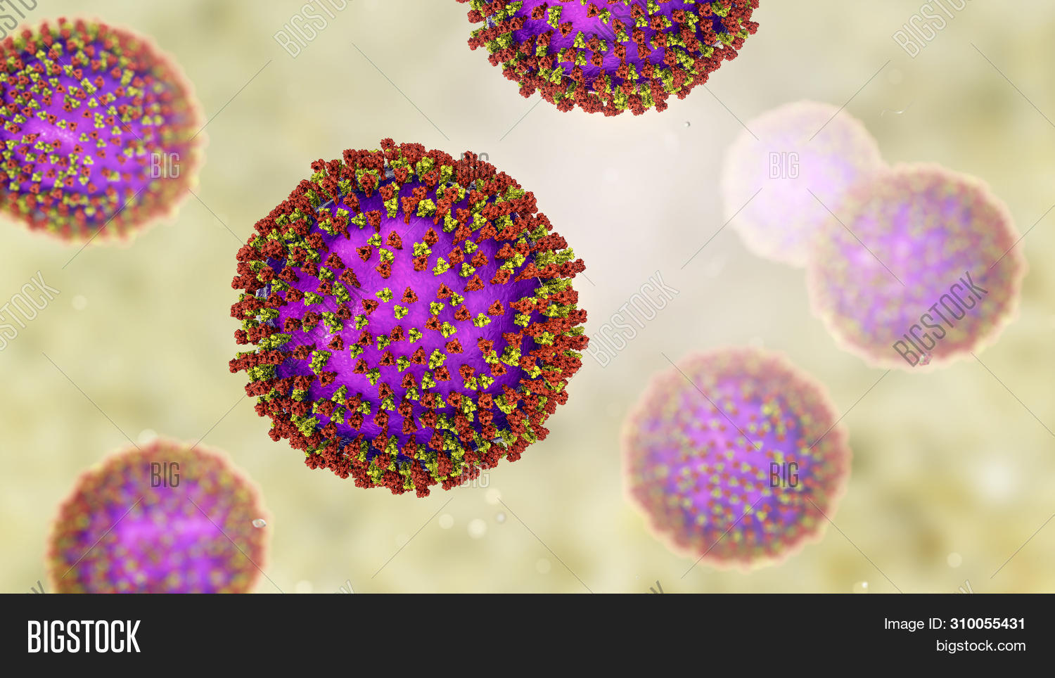 Measles Viruses. 3d Image & Photo (Free Trial) | Bigstock