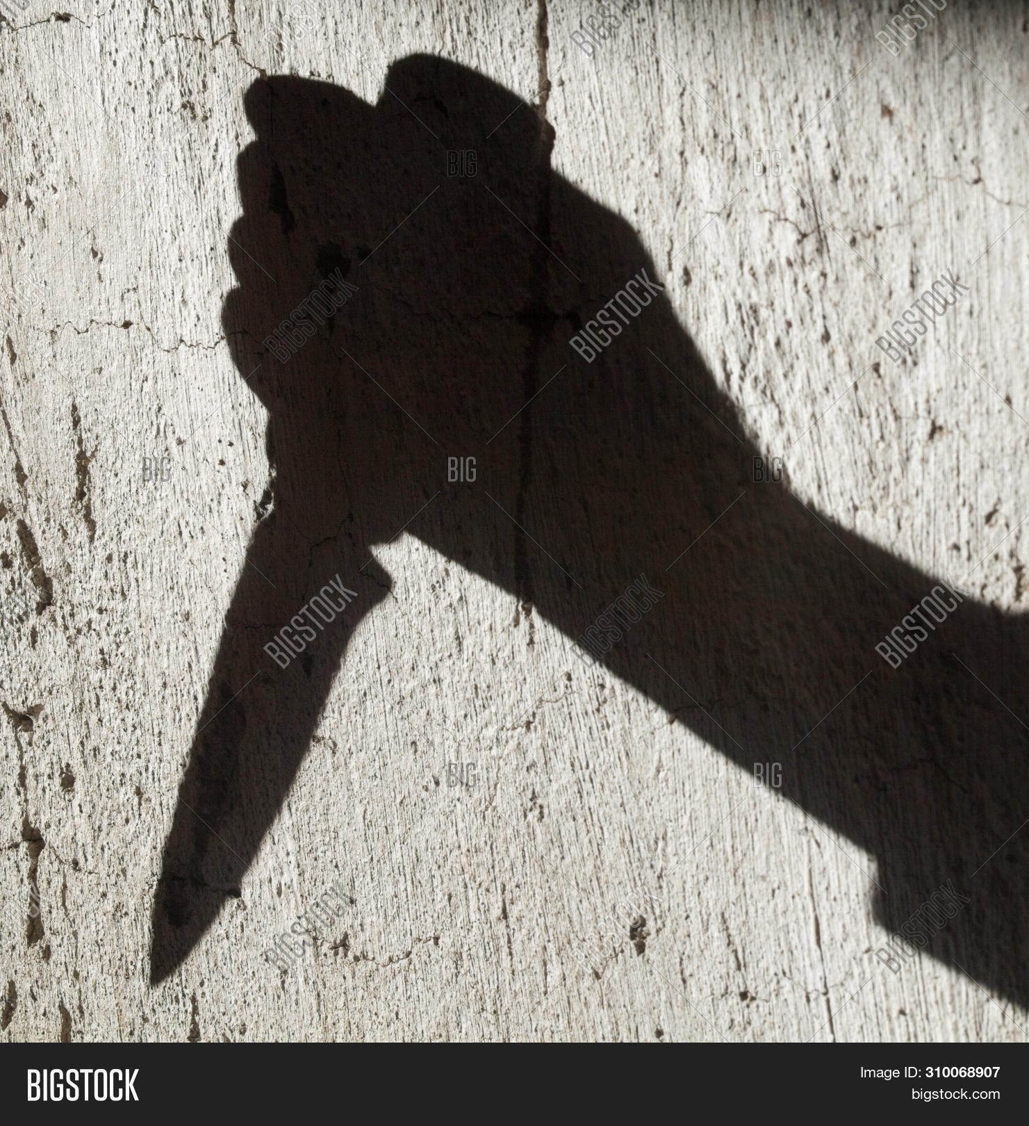Shadow Hand Holding Image & Photo (Free Trial) | Bigstock