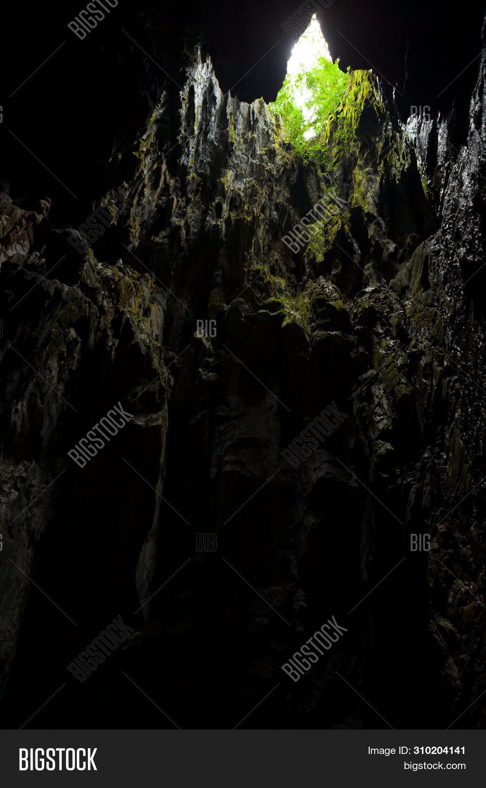 Cave Opening Lush Image & Photo (Free Trial) | Bigstock
