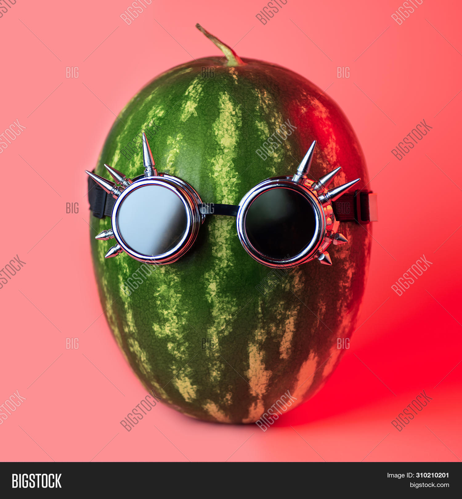 Watermelon Punk Rocker Image & Photo (Free Trial) | Bigstock
