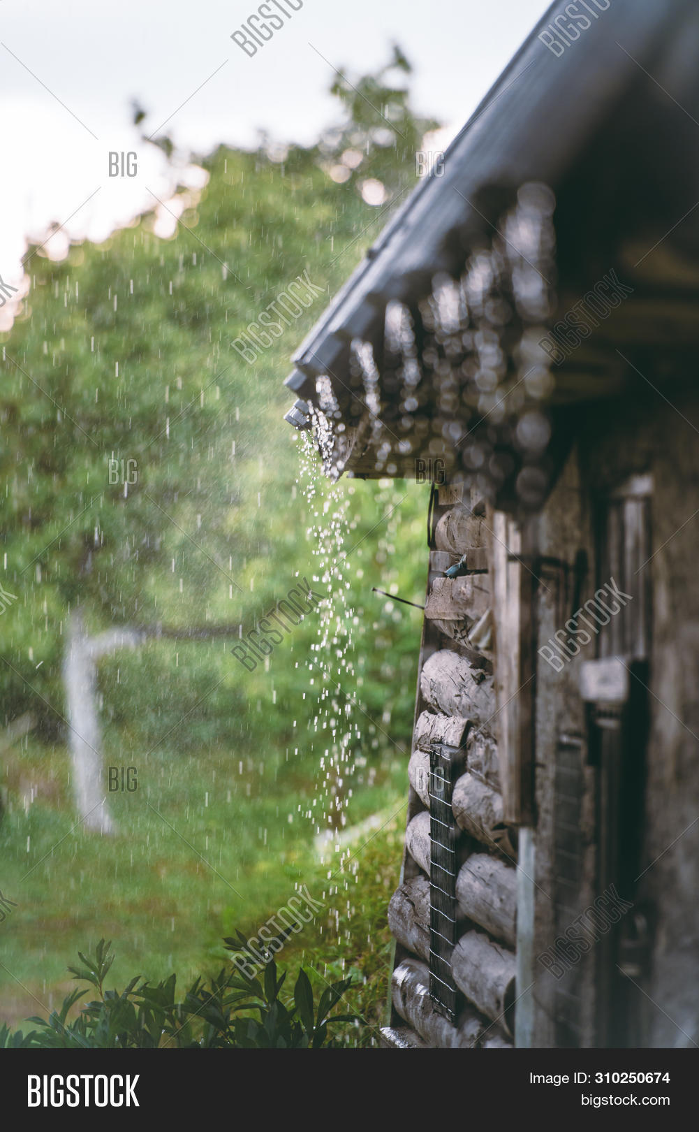 Storm Rain Drips Down Image & Photo (Free Trial) | Bigstock