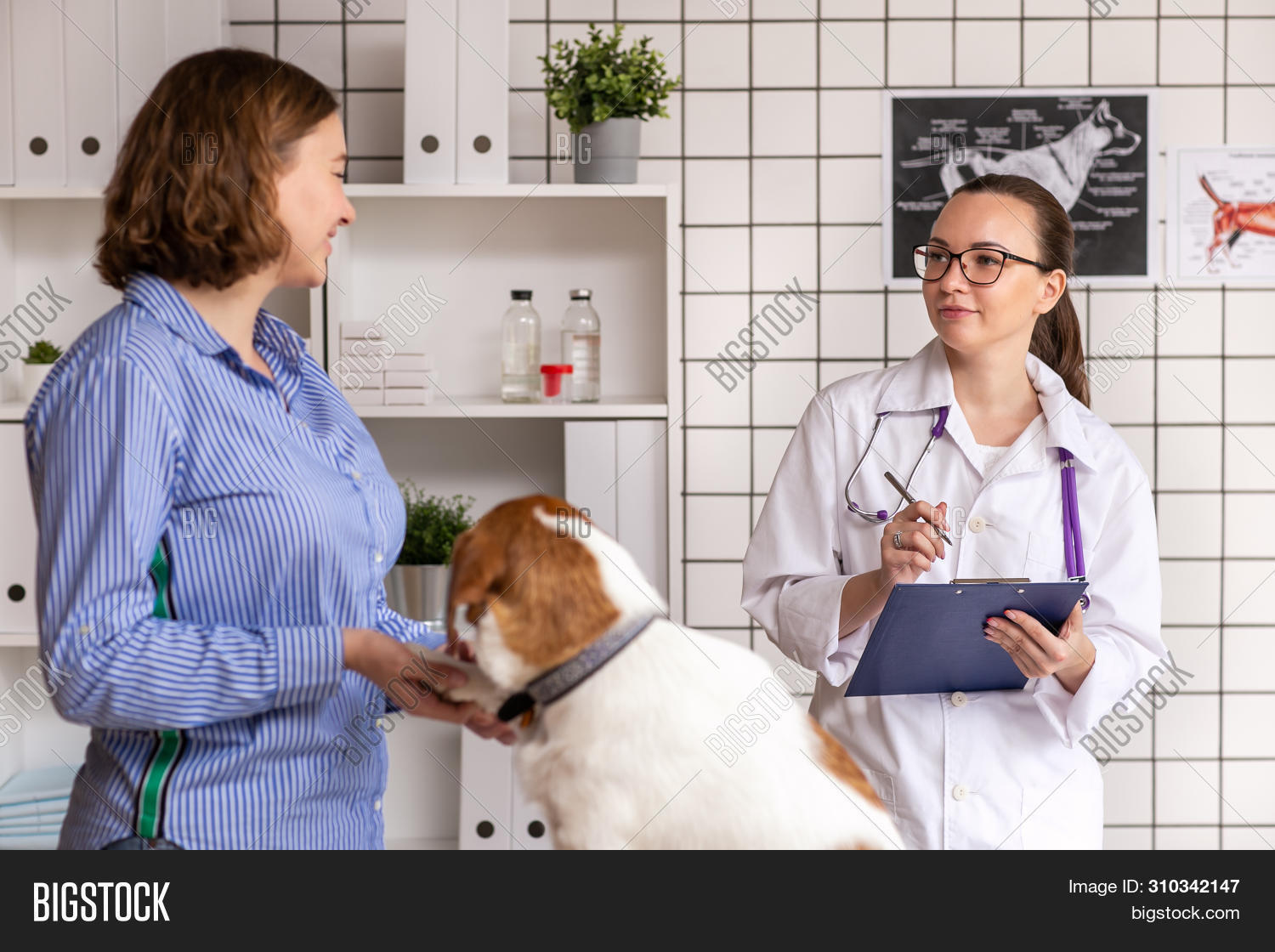 Reception Vet. Woman Image & Photo (Free Trial) | Bigstock