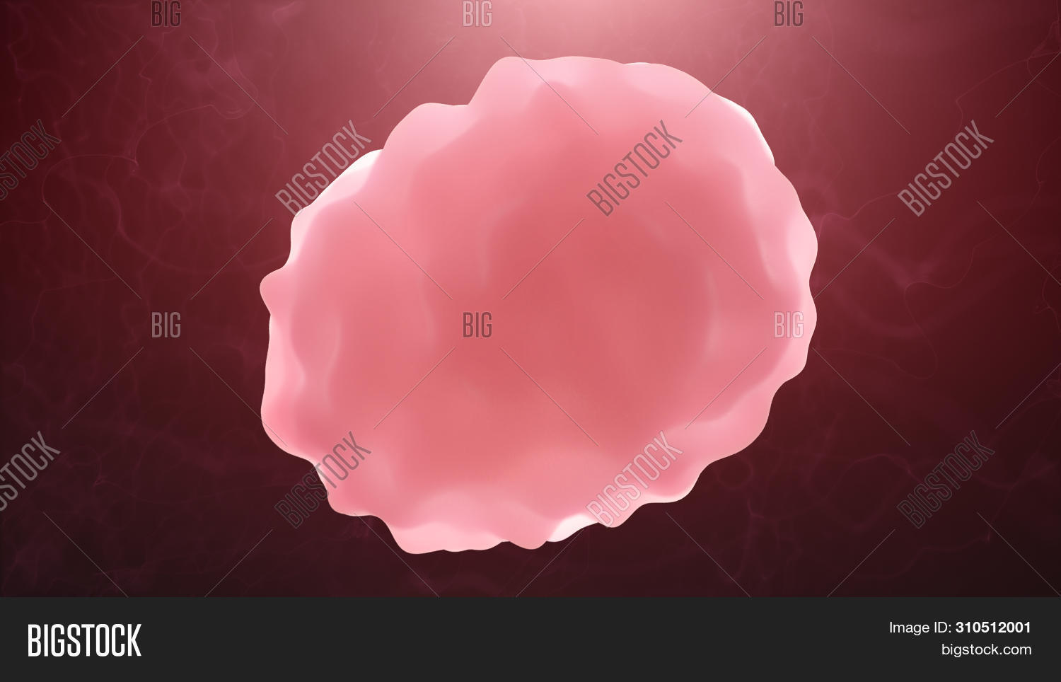 T-cell White Blood Image & Photo (Free Trial) | Bigstock