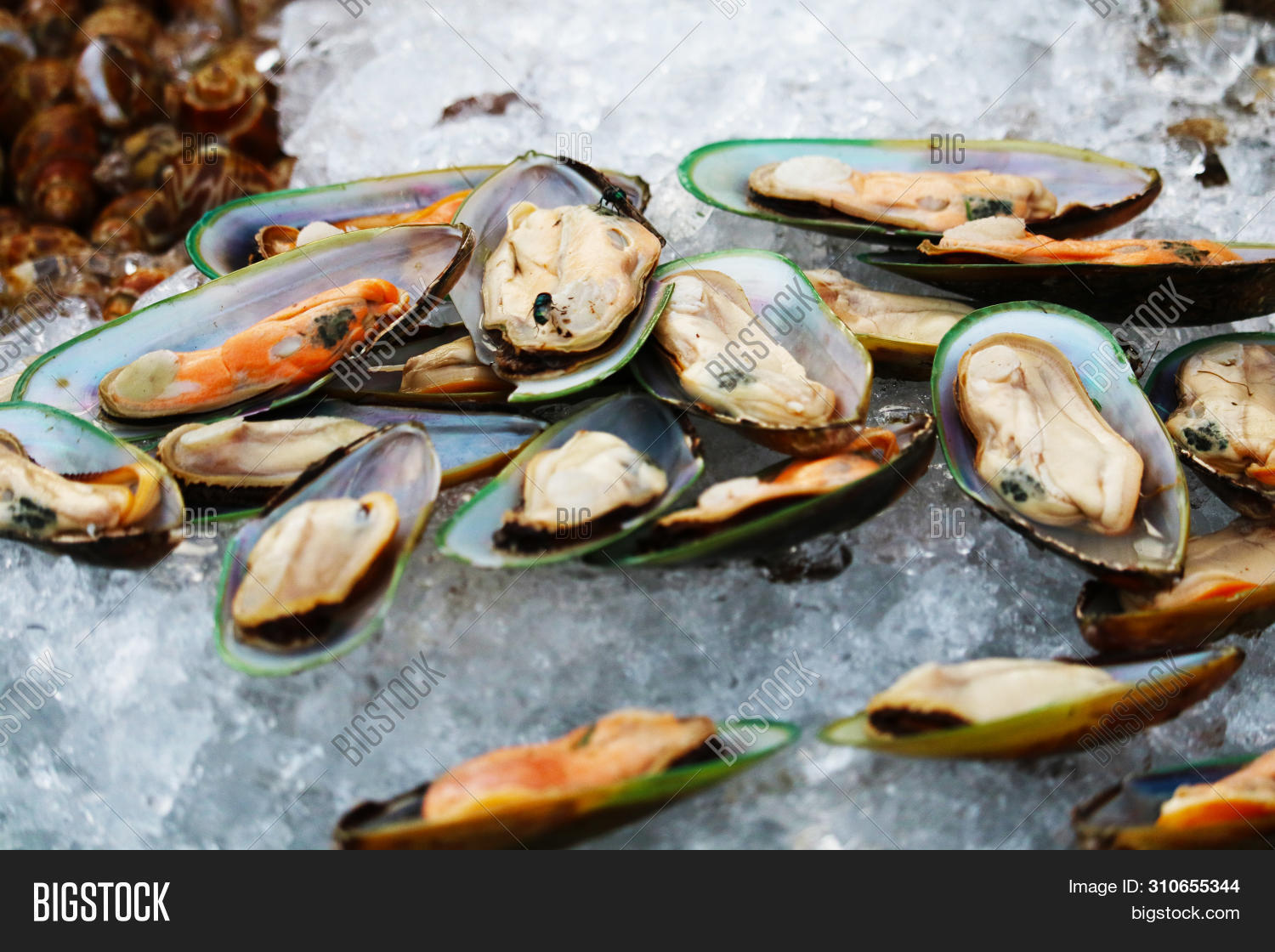 Contaminated Seafood Image & Photo (Free Trial) | Bigstock