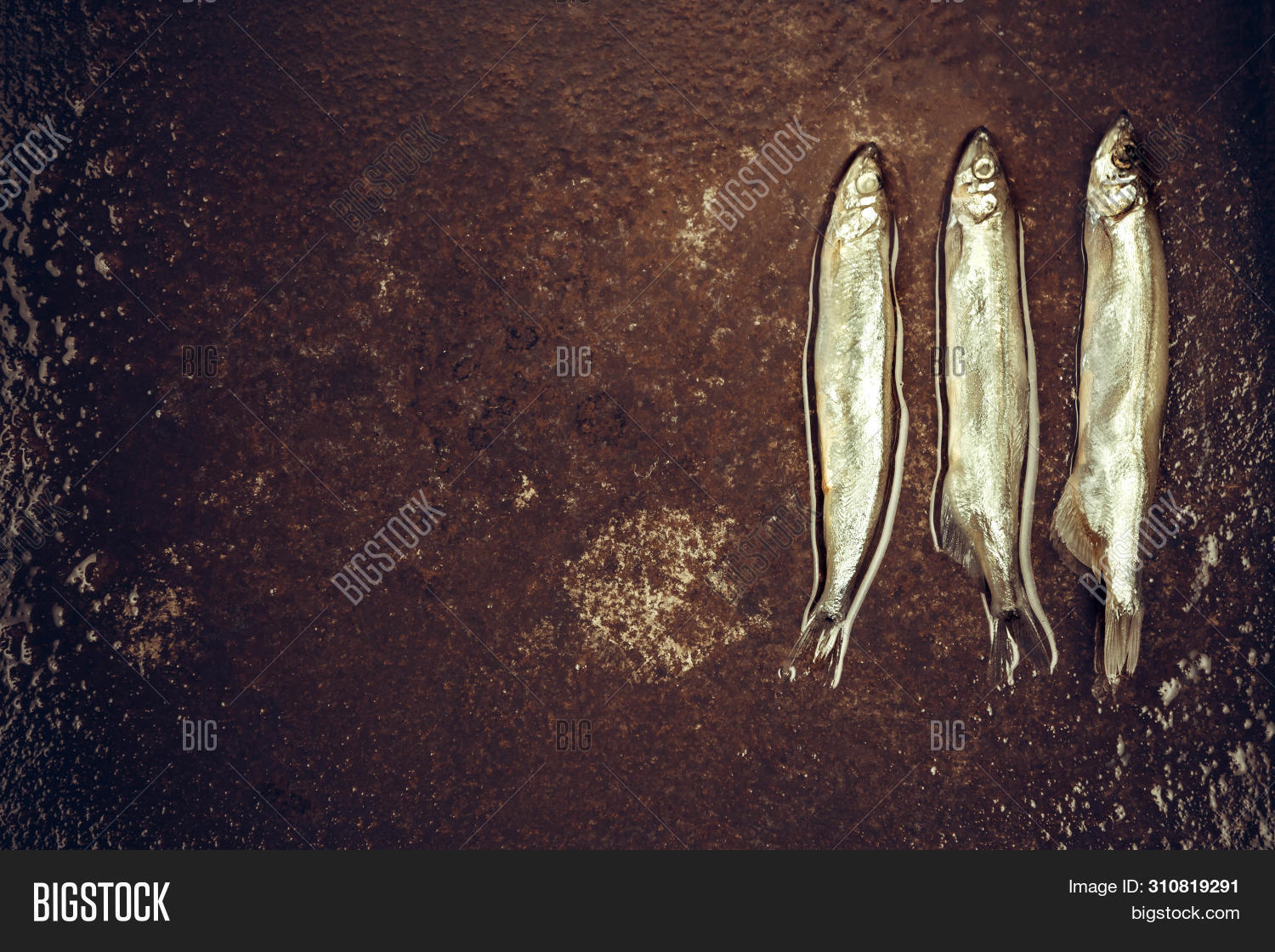 Seafood. Small Sea Image & Photo (Free Trial) | Bigstock